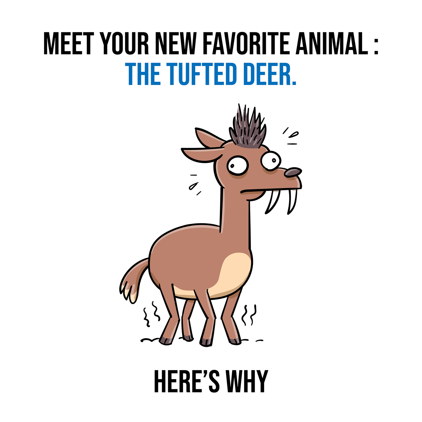 The Tufted Deer | Your New Favorite Animal | Exploding Kittens Blog